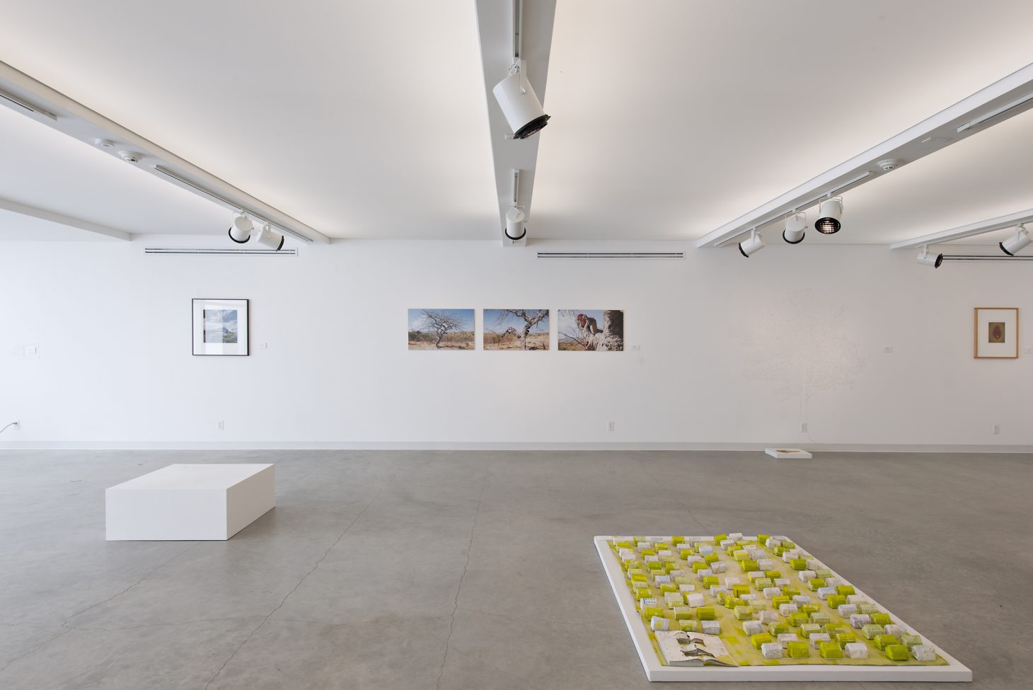 La Miscelánea - Guía oca