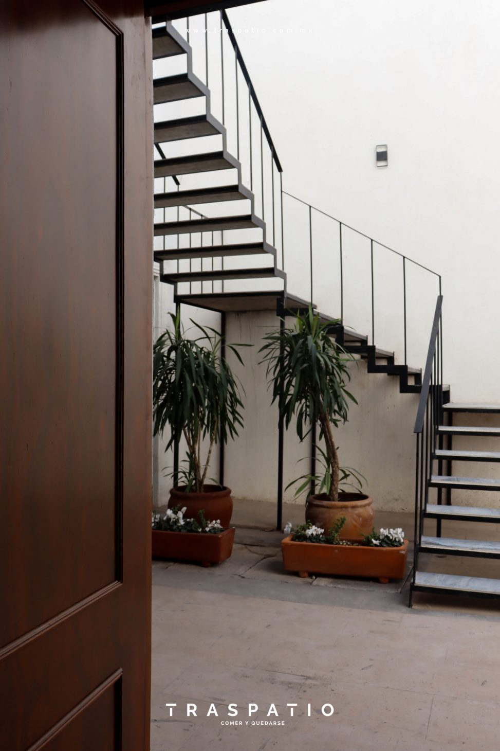 Traspatio: Una casa para todos - Guía oca