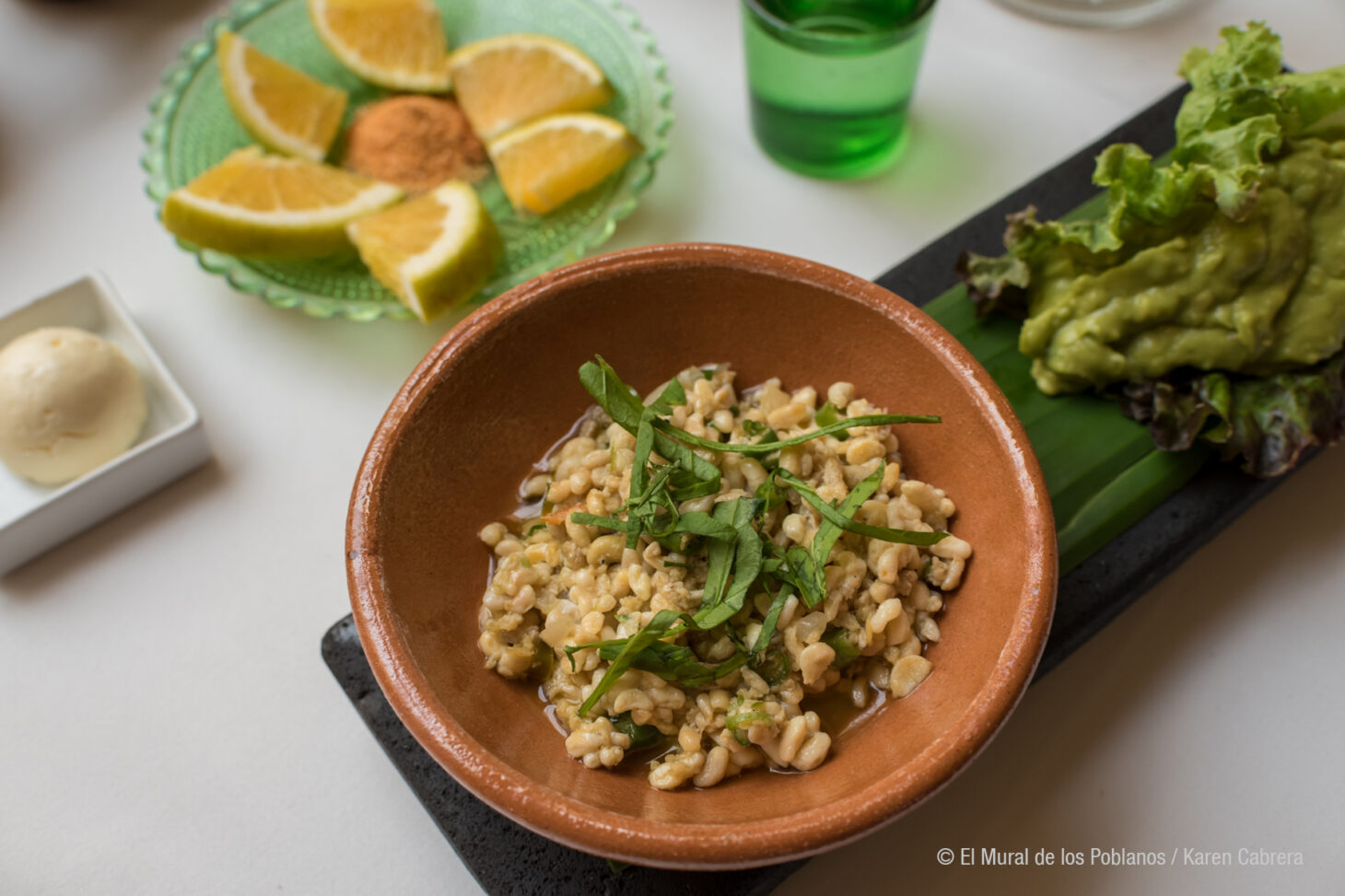Festival de Bichos: Un mundo miniatura de delicias - Guía oca