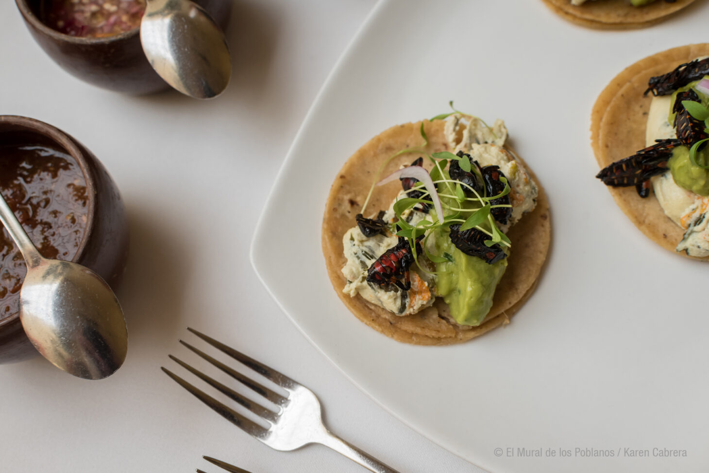 Festival de Bichos: Un mundo miniatura de delicias - Guía oca