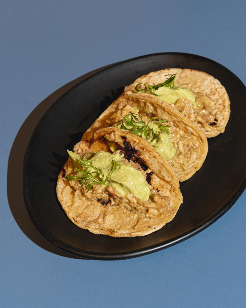 DeLuz 33 - Guía oca